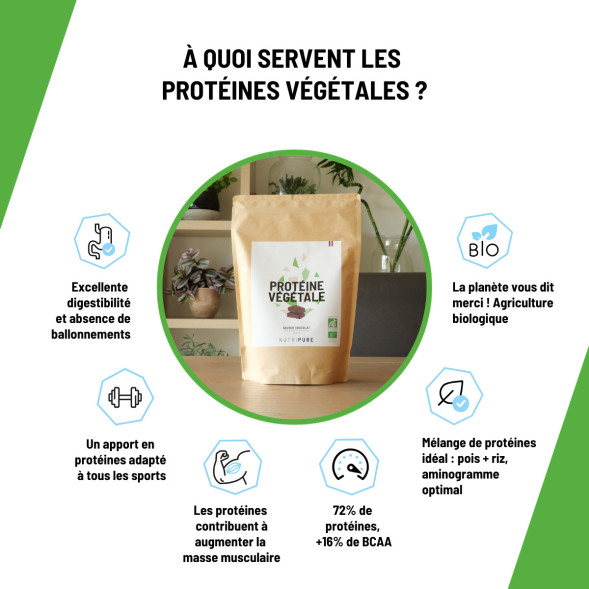 Protéine végétale bio et vegan : riz et pois en poudre